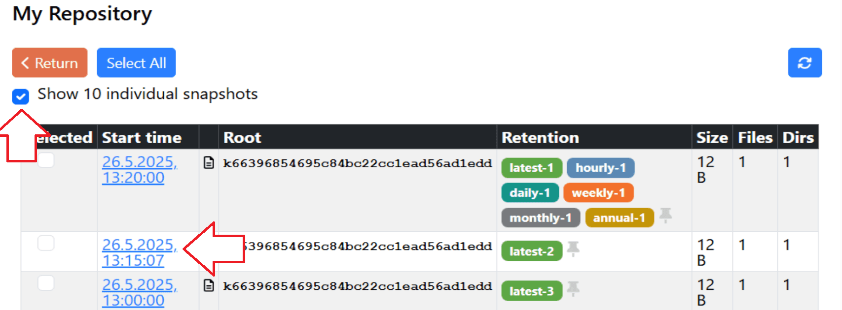 Setting up Kopia GUI - Hetzner Docs