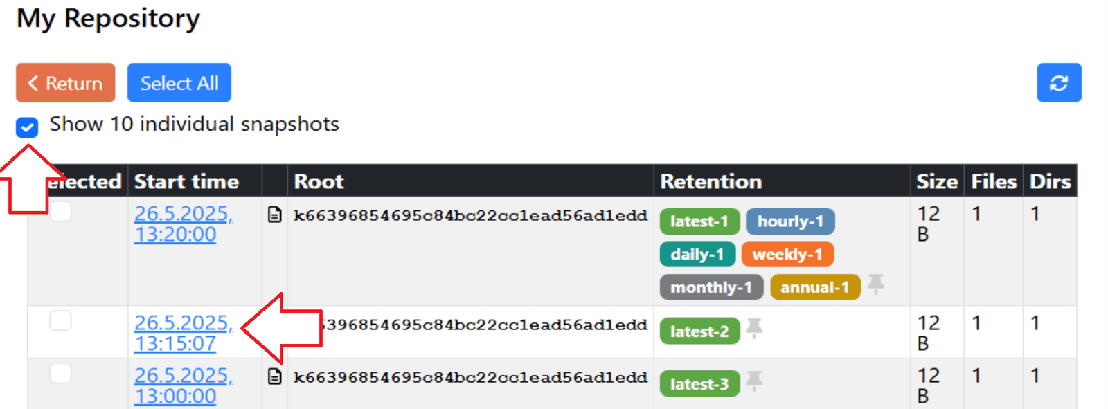 Setting up Kopia GUI - Hetzner Docs
